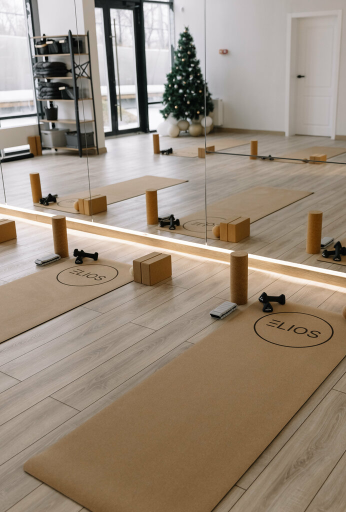 Fitness kulüpleri Elios, Voronej, foto