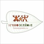 Вечнозелёные (Karyakinskaya ulitsa No:64, Tsentralniy Microdistrict), çiçekçiler  Rybinsk'ten