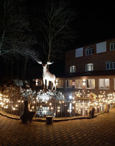 Restoran Losiniy Dvor, Kaliningradskaya oblastı, foto