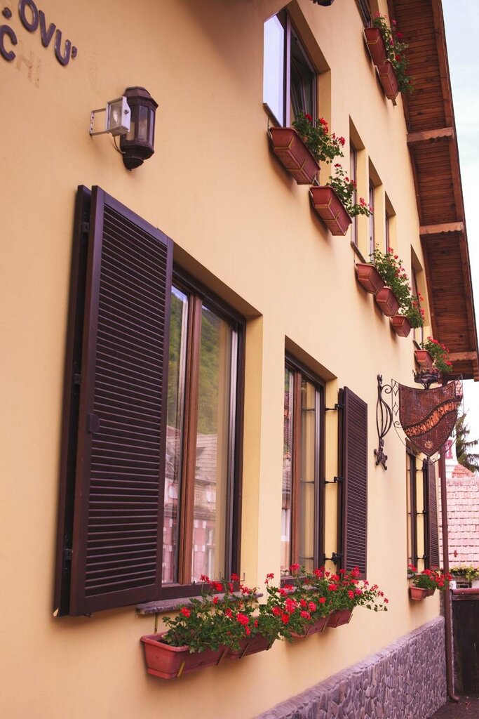 Otel Pension Brasovu Vechi, Brashov, foto