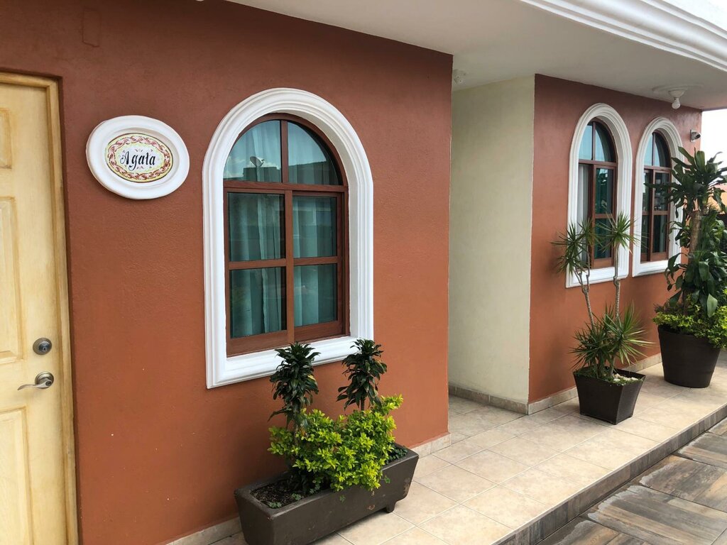 Otel Hotel Elena, , foto
