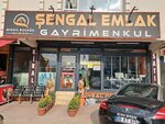 Şengal Emlak (Bağlum Blv., No:109B, Keçiören, Ankara), emlak ofisi  Ankara'dan