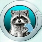 Raccoon poloskun (No:120, derevnya Pavlovskoye), kuru temizlemeciler  Moskova ve Moskovskaya oblastından