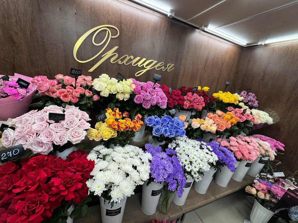 Çiçek teslimatı Орхидея, Surovikino, foto