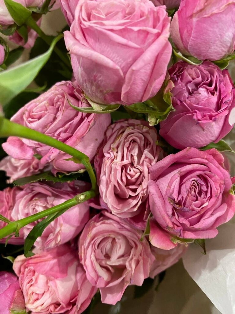 Çiçek teslimatı Royal Flowers Pavlodar, Pavlodar, foto