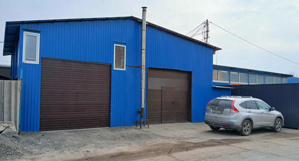 Otomobil servisi Petrovich's car service, Balaşiha, foto