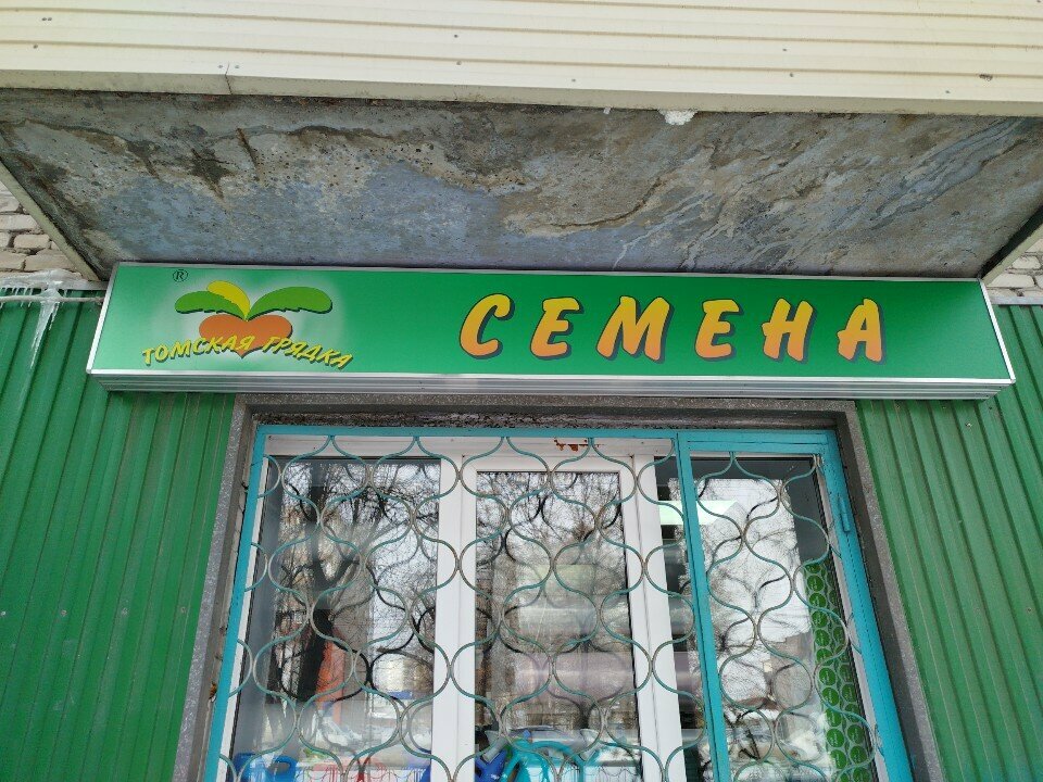 Tohum satan yerler Томская грядка, Tomsk, foto