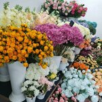 Искусственные растения и цветы (Avtomobilistov Drive No:4), yapay bitki ve çiçek  Belgorod'dan