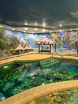 SPA Карибы (Severnaya ulitsa No:52-2, posyolok Shershni), saunalar  Çeliabinsk'ten
