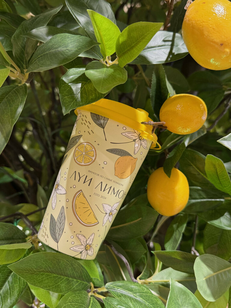 Kahve dükkanları Lyi Limon, Adıge Cumhuriyeti, foto