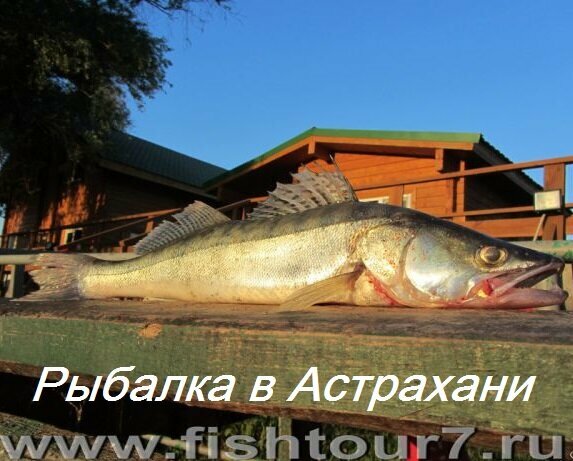Tatil köyleri Fishtour, Astrahanskaya oblastı, foto