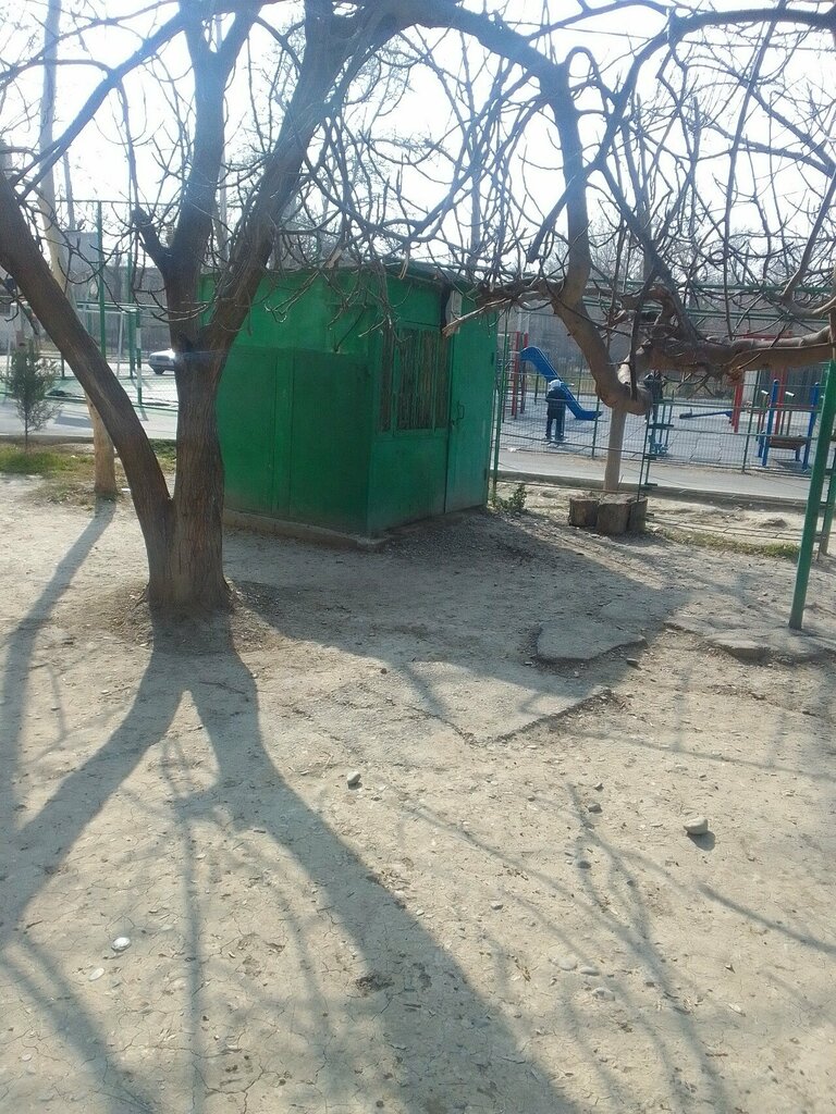 Mefruşat Dərzi, Mingeçevir, foto