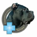 Antares (ulitsa Tyulenina No:14), veteriner klinikleri  Novosibirsk'ten