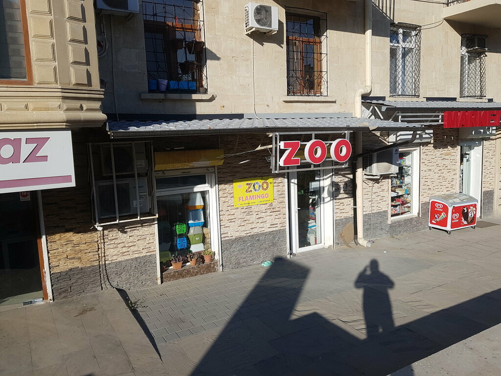 Petshop Zoo Flamingo, Bakü, foto