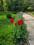 Tashkent Botanical Garden (Tashkent, Tashkent Botanical Garden named after Academician F.N. Rusanov), bahçe ekipmanları ve teknolojileri  Taşkent'ten