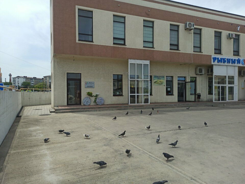 Dini dernekler Церковь христианской жизни, Novorossiysk, foto