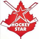 Hockey-star.ru (1st Pokrovskiy Drive No:1), spor kulüpleri  Kotelniki'den