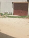 Fedex (Abidjan, Cocody, Quartier de la Djorobité I), kurye hizmetleri  Abican'dan