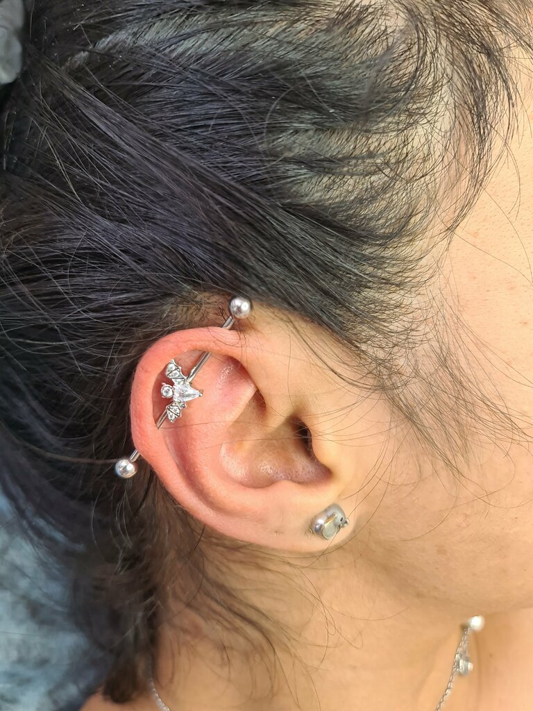 Piercing dükkanı Aestetic Studio, Moskova, foto