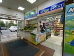 Овощи фрукты (Belorechenskaya Street No:13к3), manavlar  Moskova'dan