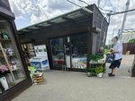 Рыбный киоск (ulitsa Kurchatova No:36И/9), balık ve deniz ürünleri  Voronej'den