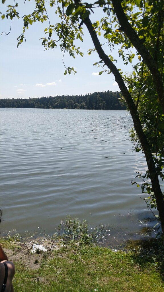 Plaj Пляж, Moskova ve Moskovskaya oblastı, foto