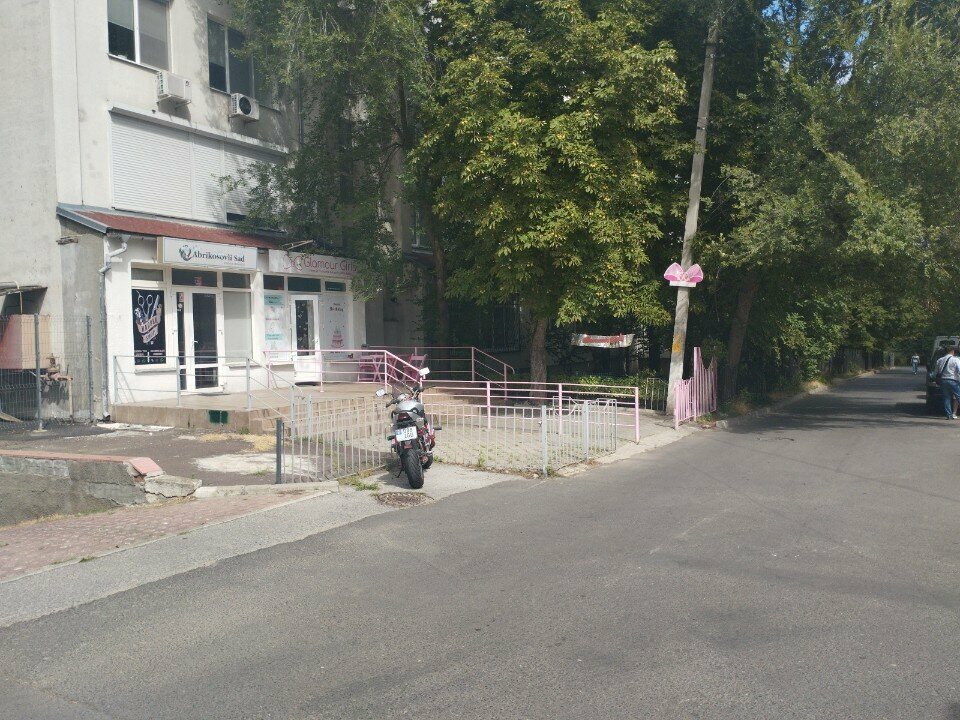 Berberler Abrikosovii Rai, Kişinev, foto