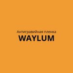 Waylum (Khasanovskaya ulitsa No:68), koruyucu film, dekoratif, mimari film kaplamaları  Yekaterinburg'dan