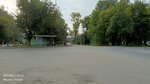 Militseyskiy Village (Moscow, Dachnaya Street), toplu taşıma durağı  Moskova'dan