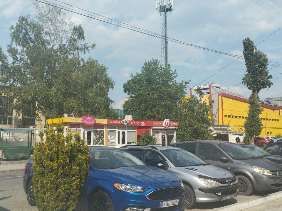 Kasap, şarküteri Puibun, Kişinev, foto