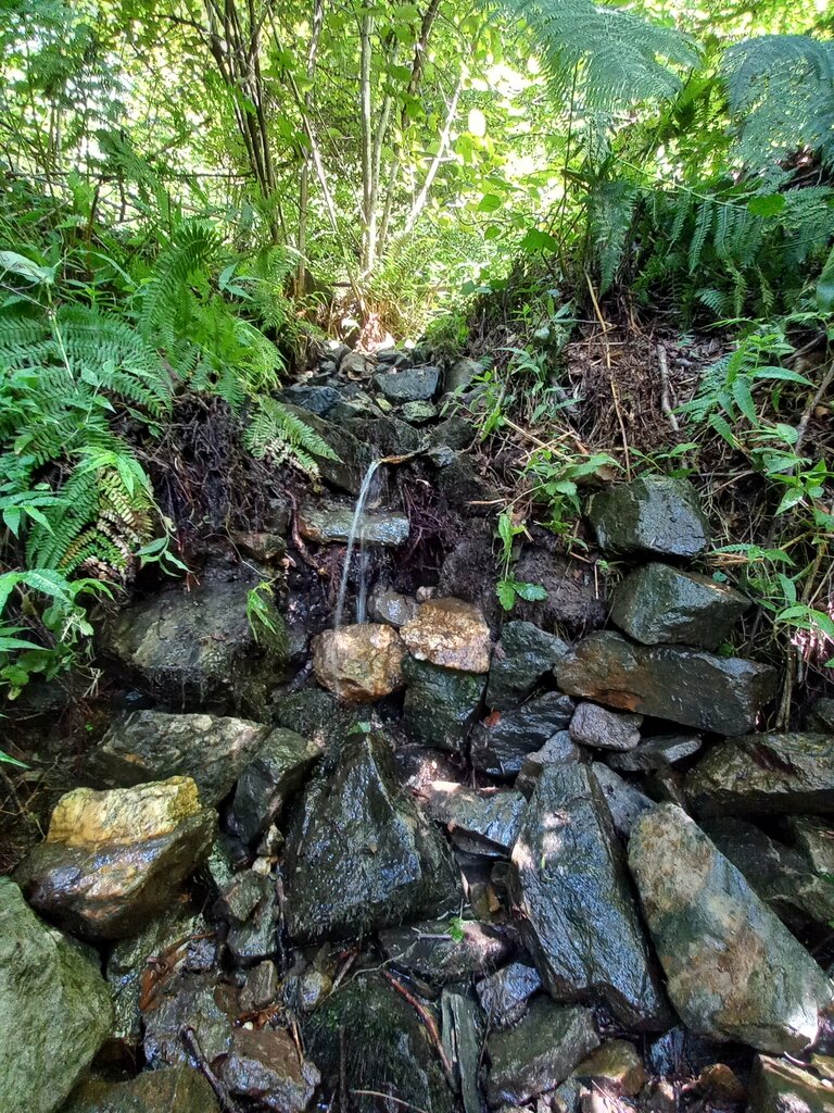 Pınar, çay Spring, stream, Soçi, foto