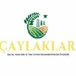 Çaylaklar Pirinç (Çorum, Osmancık, Çorum Cad.), gıda üreticileri  Osmancık'tan