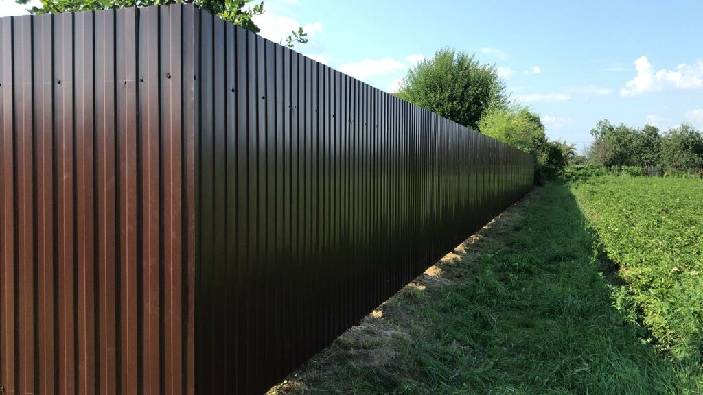 Çitler, parmaklıklar Заборы Коломна РФ, Kolomna, foto