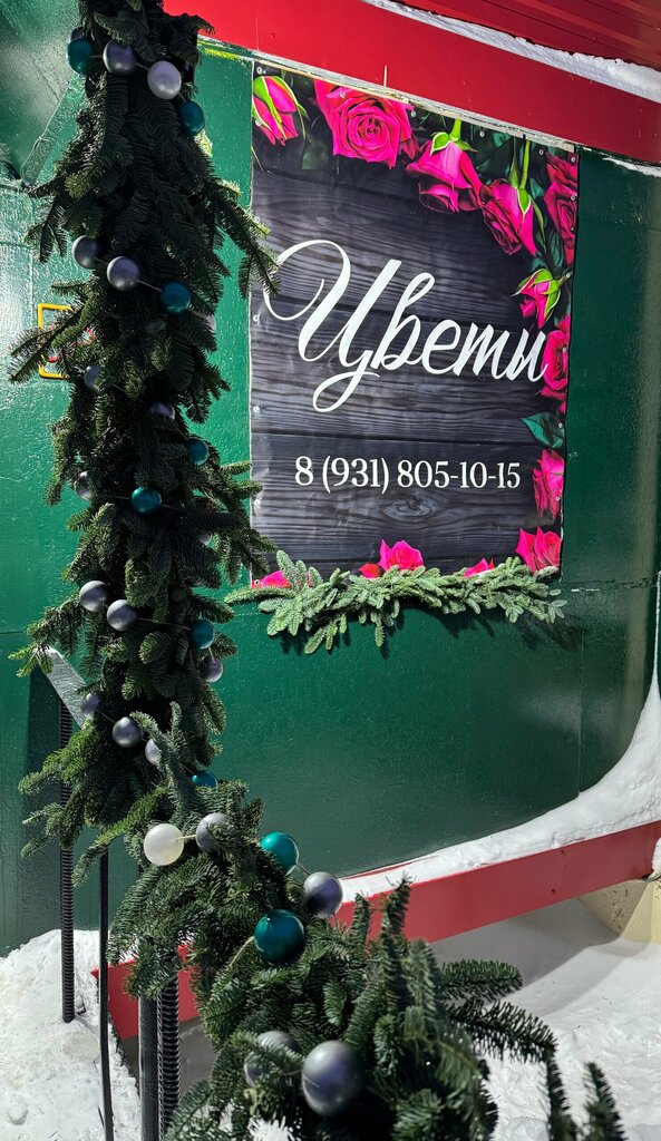 Çiçekçiler CAmelia, Murmanskaya oblastı, foto