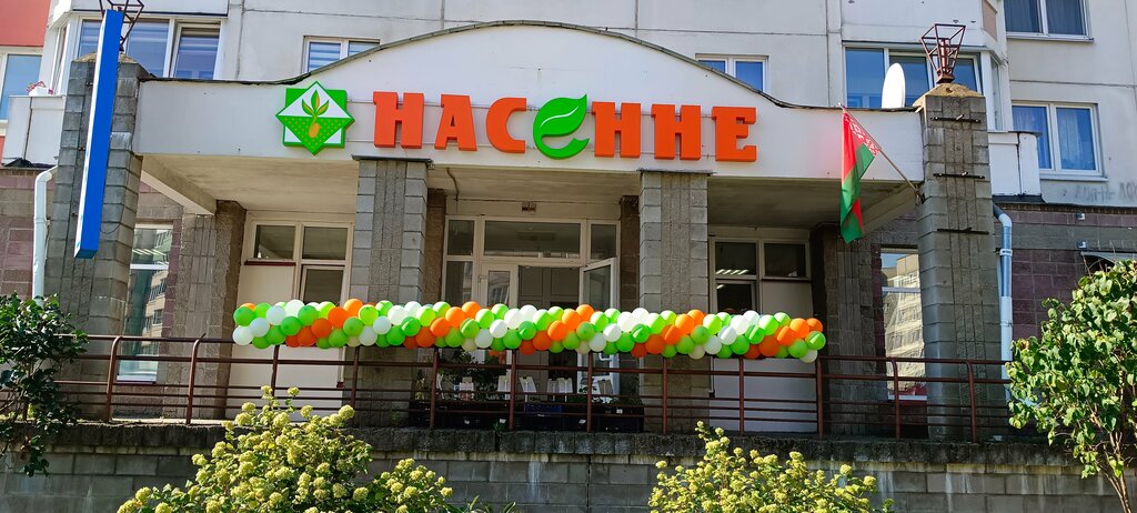 Tohum satan yerler Насенне, Minsk, foto