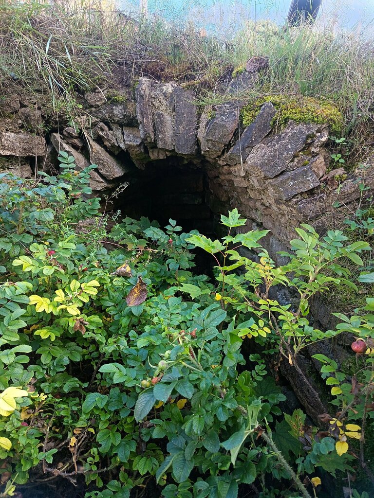 Turistik yerler Fragment of an ancient fortress wall, Kingisepp, foto