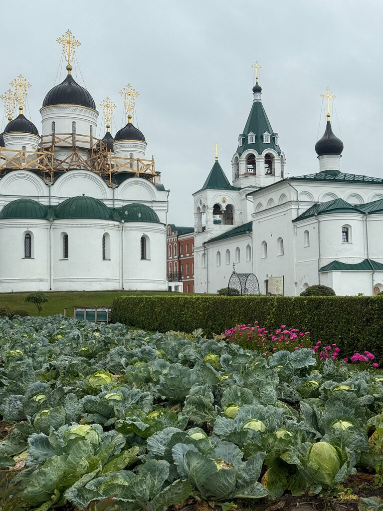 Seyahat acenteleri За тридевять деревень, Krasnoyarski krayı, foto
