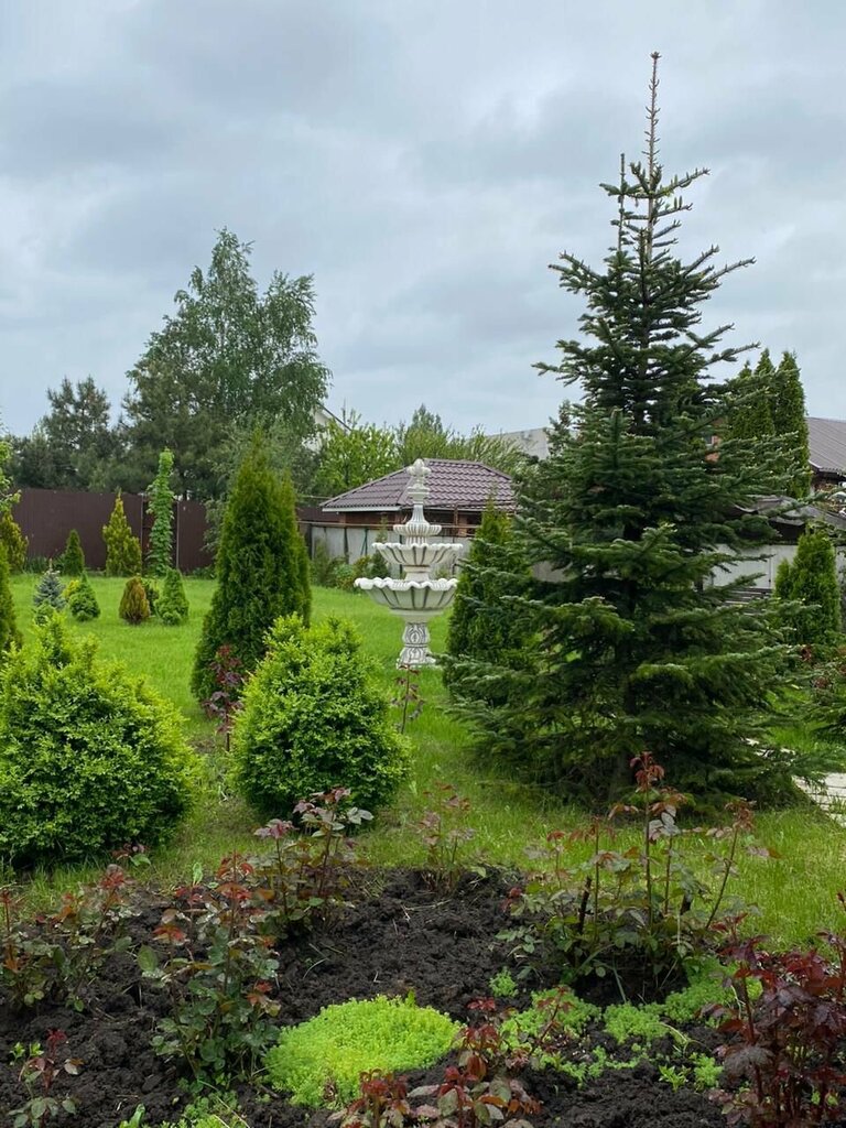 Konuk evi Edelweys, Rostovskaya oblastı, foto