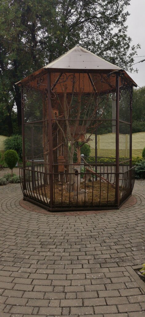 Müzeler ve sanat galerileri The Squirrel Museum in Vyalikaya Berastavitsa, Grodnenskaya oblastı, foto