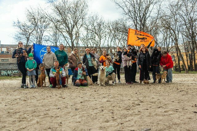 Köpek hizmeti Федерация кинологического спорта, Rostov‑na‑Donu, foto