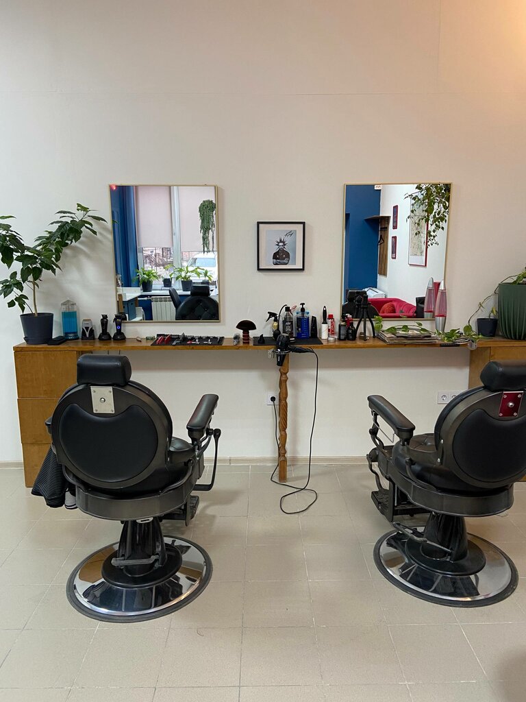 Berberler Sibiryak, Yurga, foto