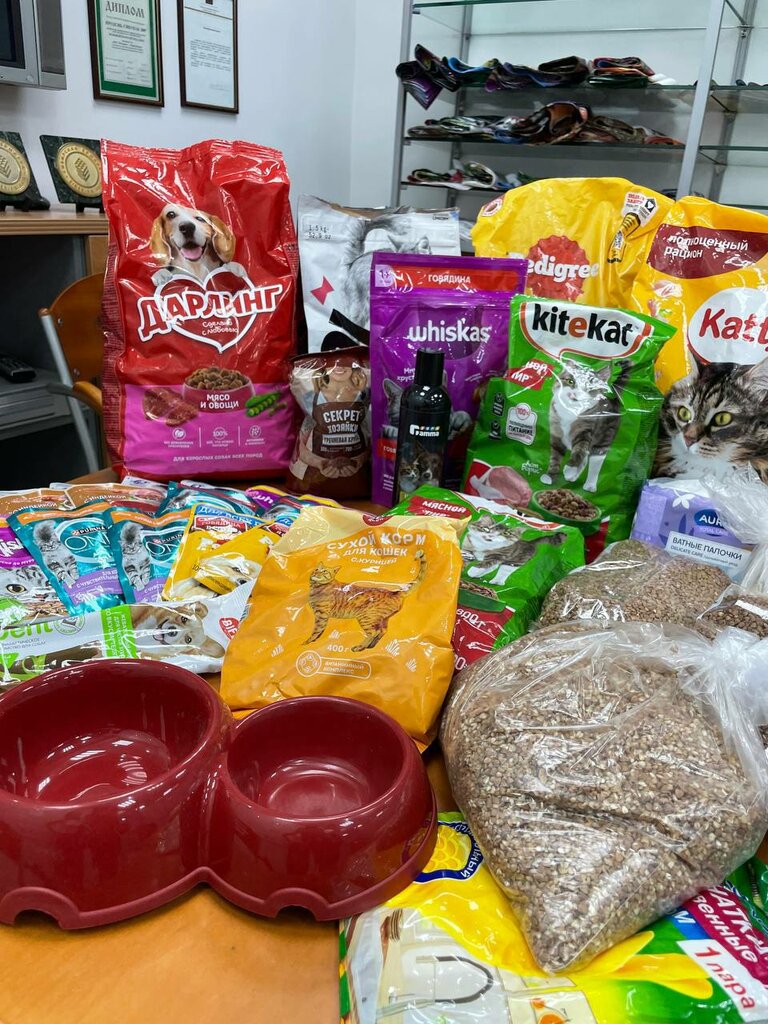 Yardım kuruluşları Лапочка, Novosibirsk, foto