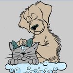 Puppies & Company (Brussels, Chaussée de Tervueren), evcil hayvan kuaförleri  Belçika'dan