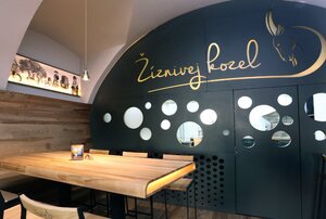 Žíznivej kozel (Plzeňský kraj, Klatovy, Pražská), restoran  Klatovi'den