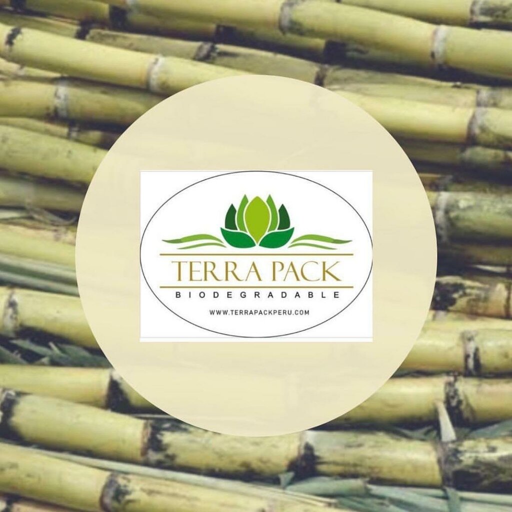 Paketleme malzemeleri firmaları Terra Pack Peru Envases Biodegradables, Lima, foto