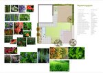 Groenconcepten. nu/4tuinen. nl (Graspol No:7, Moordrecht), peyzaj tasarımı  Hollanda'dan