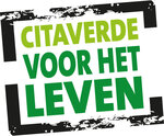 Citaverde College (Jagerstraat No:6, Roermond), ortaokul  Roermond'dan