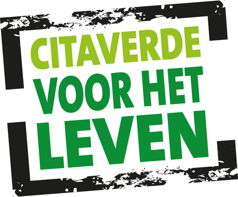 Ortaokul Citaverde College, Roermond, foto