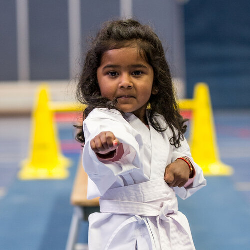 Spor ve eğlence merkezi Karatevereniging Funakoshi, Dünya, foto