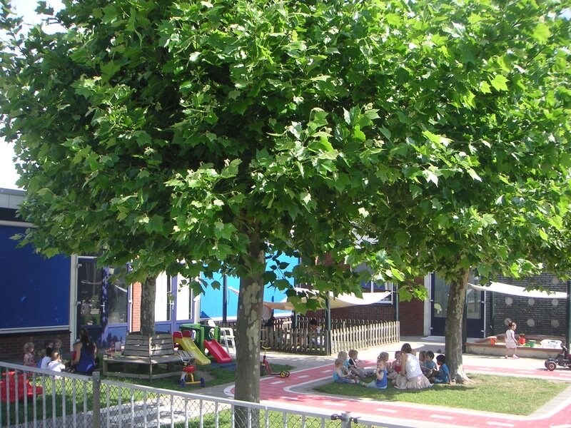 Anaokulları Kinderopvang Kleine Beer Hengelo, Overijssel, foto